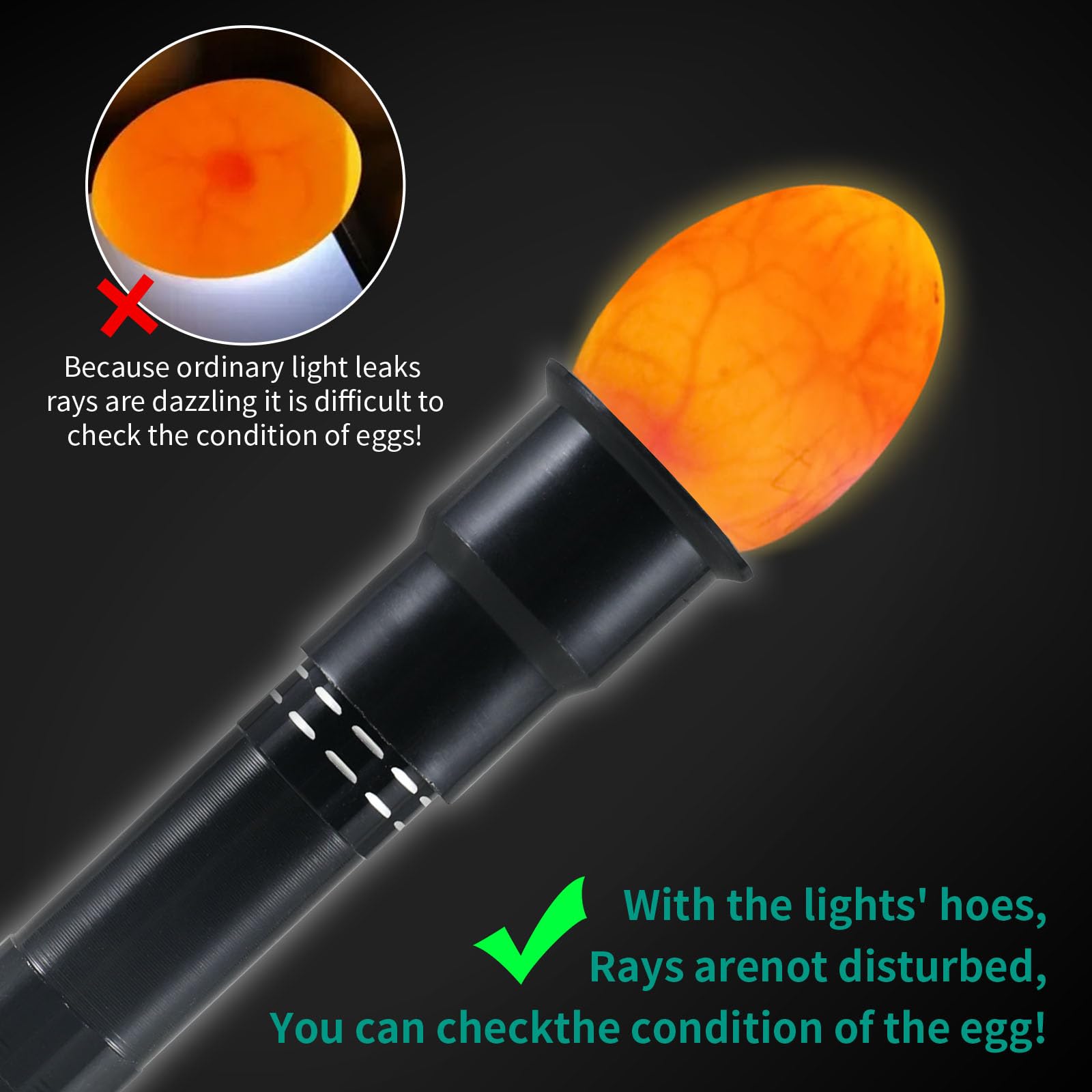 AZXIVIZ Egg Candler, Candling Light Tester for Eggs with High Intensity,Egg Candle for Distinguishing Fertile Chickens Ducks Quail Eggs