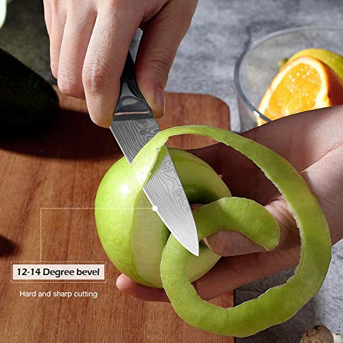 BESTERiSA Paring Knife -4 Inch Fruit Knife with Cover-High Carbon German Stainless Steel EN1.4116 Ultra Sharp Vegetable and Peeling Knif with Gift Box for Home Kitchen and Restaurant.