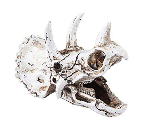 Dinosaur Triceratops Skull Reptile Amphibian Habitat Hide β Premium Non-Toxic Resin for Aquariums & Terrariums β Large Size