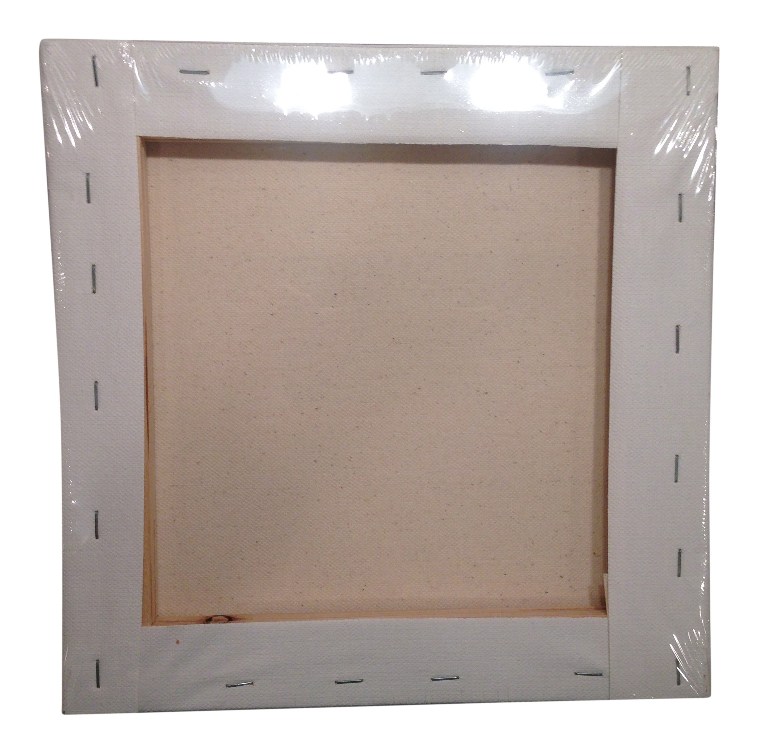 Artist's Loft Back-Stapled Traditional Canvas 10" x 10"