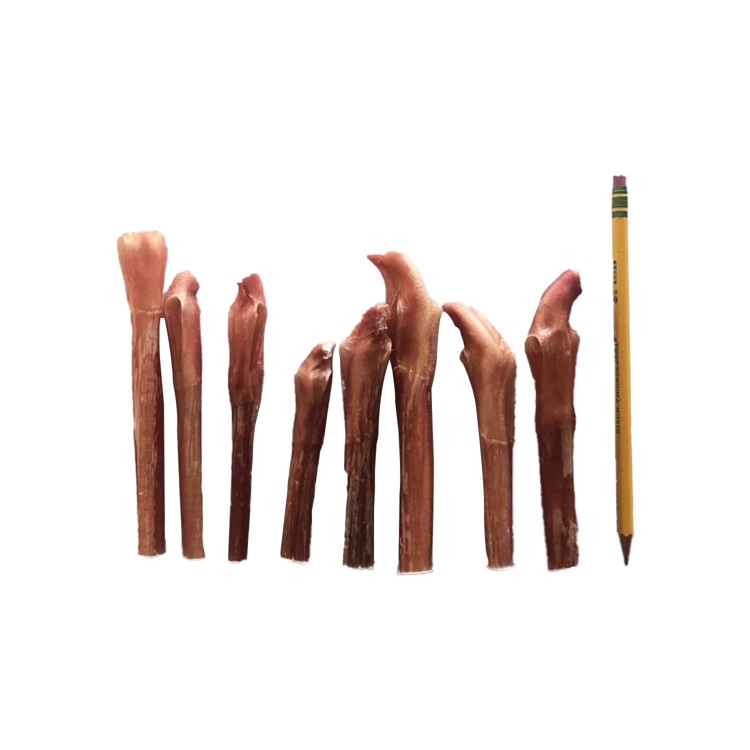chew-e&tasty Bully Sticks 3-5 inch Various Shapes and Size - Odor Free 100% Beef Chews - Fully Digestible High Protein, Low Fat Dental Treats (8 OZ)