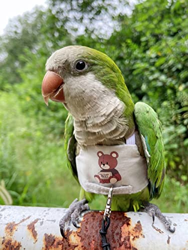 Bird Flight Harness Vest, Parrot Flight Suit with Leash for Parakeets Cockatiels, Bird Flying Clothes with Rope and Handle for Outdoor Activities Training (Bear with Leash,Medium)