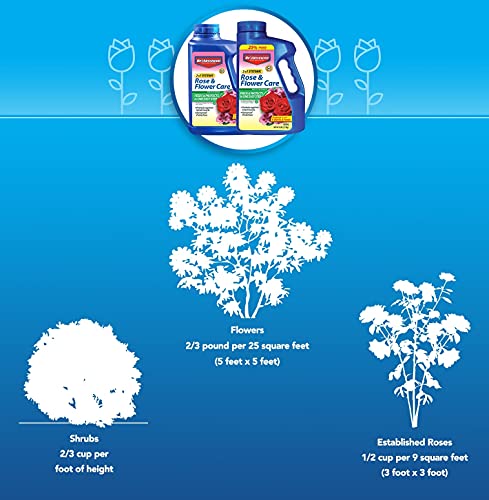 BioAdvanced 2-In-1 Systemic Rose and Flower Care, Granules, 10 lb