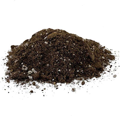 Bromeliad Soil Planting Soil, Hand Blended All Natural Potting Mix for Planting, Growing, or Repotting Bromeliad, Potting Soil for Bromeliad, Small Batch Hand Blended 4QT Size Bag