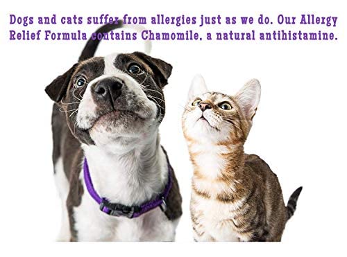Doc Ackerman's - Allergy Relief Formula - Fast Acting Anti-Itch Relief - Enhanced with Green Tea Extract, Papaya, & Mullein - Immune Support for Pets - Professionally Formulated Herbal Remedy - 10 oz