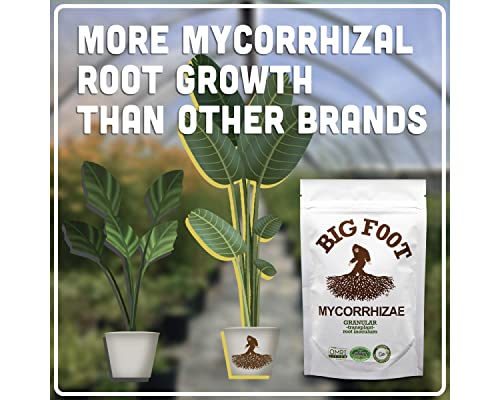 Big Foot Mycorrhizal Granular (4 OZ) with Kelp, Biochar, Worm Castings, Humic Acid, Trace Minerals| Treat Soil or 32-1 Gallon Pots |