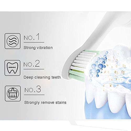 RED-NI RED-NI Sonic Electric Toothbrush, 4 Free Replacement Heads Included as Gifts Ideal for Adult Children and Couples Use USB Fast Charging Waterproof Toothbrush,Model: ET201 (Blue)