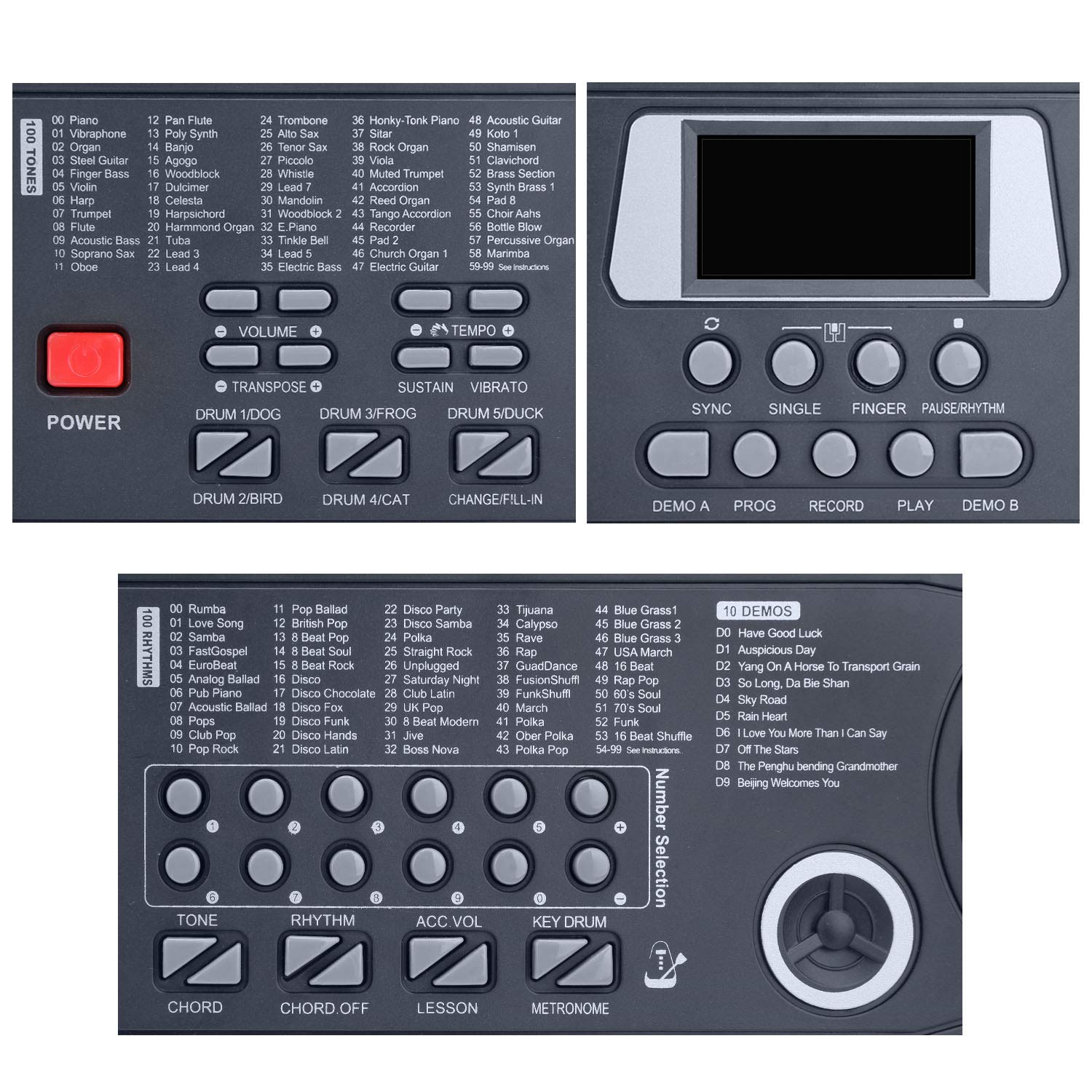 Hricane Piano Keyboard, 61 Keys Beginner Electronic Keyboard Portable Digital Music Keyboard, Early Education Music Instrument with Microphone & Music Sheet Stand