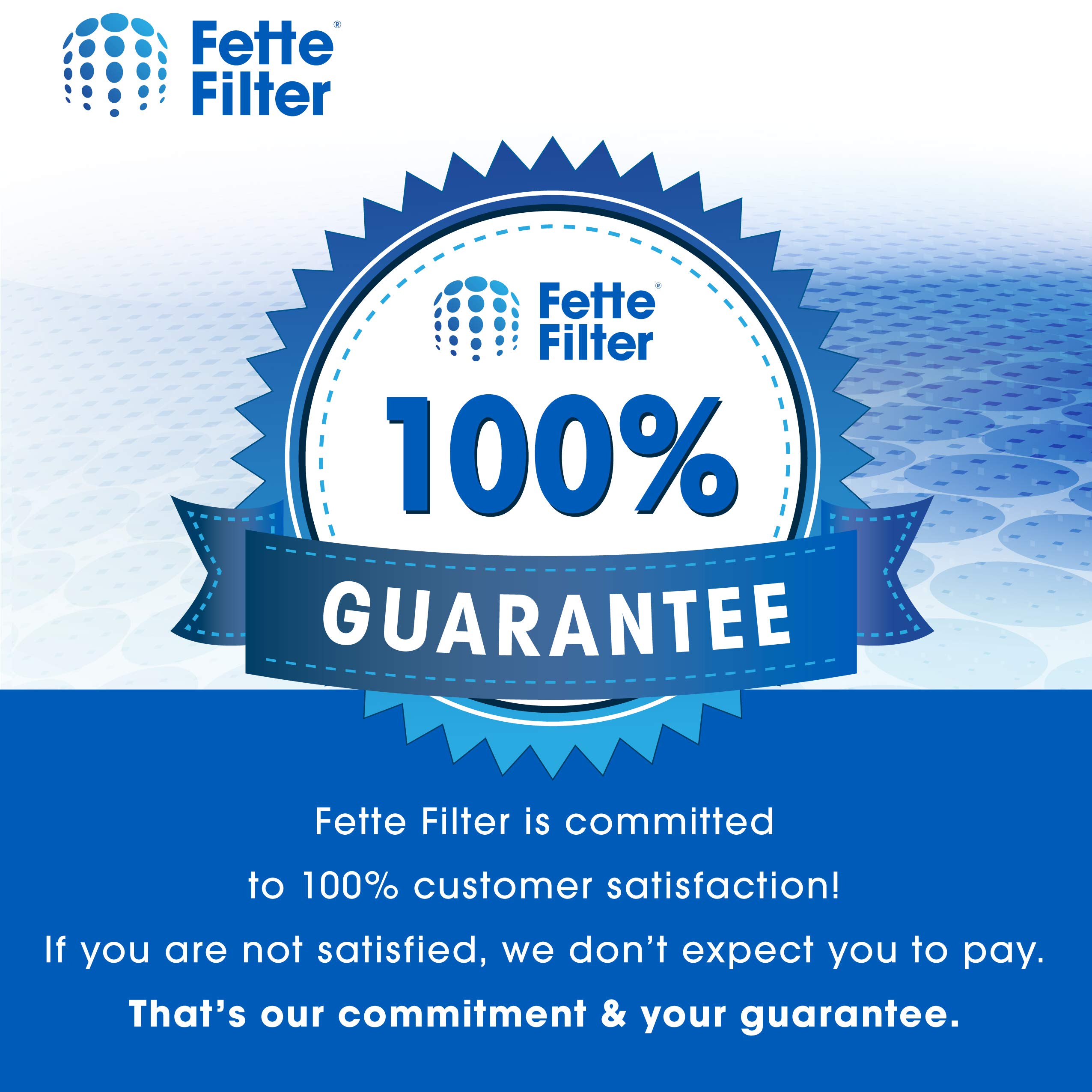 Fette Filter - VK-6067B H13 True HEPA Filters Compatible with HOKEKI VK-6067B & Vremi True Hepa Air Purifiers H13 with Activated Carbon- Pack of 2 (VK6067B)