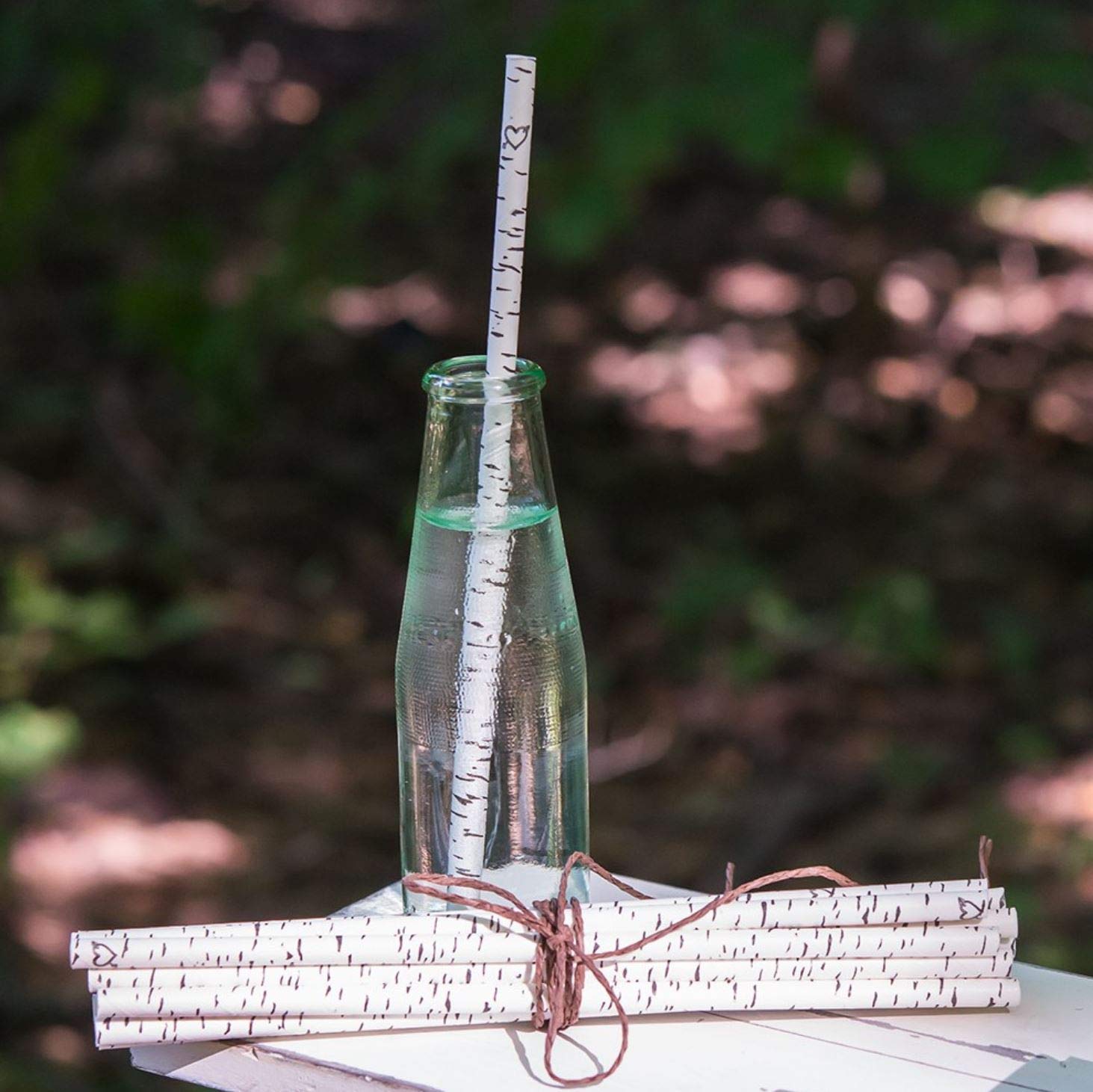 Birch Bark Love Print Paper Drinking Straw (Pack of 25)
