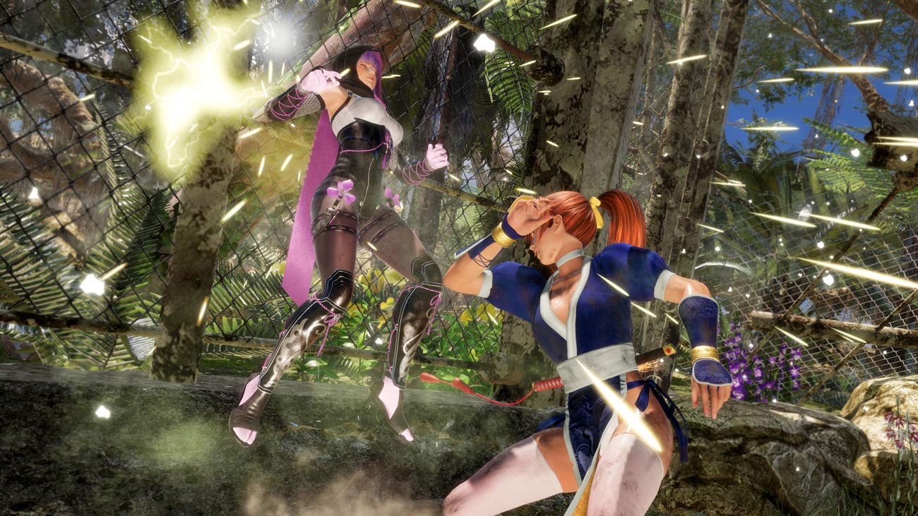 DEAD OR ALIVE 6 Collector's Edition - PS4 Japanese Ver.