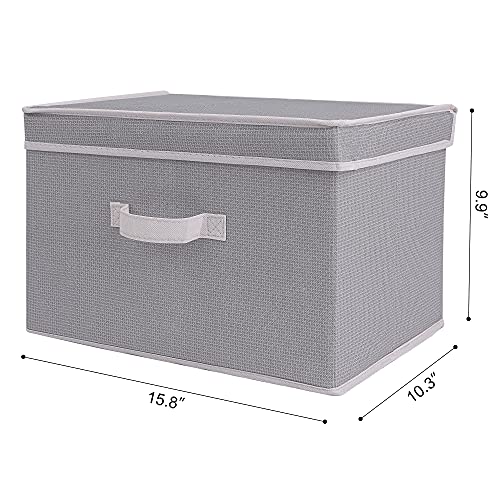 GRANNY SAYS Bundle of 2-Pack Closet Bins with Lids for Storage & 2-Pack Socks Storage Organizers