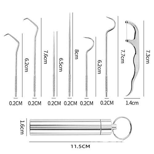 bonmall Dental Teeth Pick Stainless Steel Toothpick Set Reusable Tooth Stains Remover Dental Tool Teeth Cleaning Tools with Holder for Outdoor Picnic, Camping, Travel (7PCS/Set)