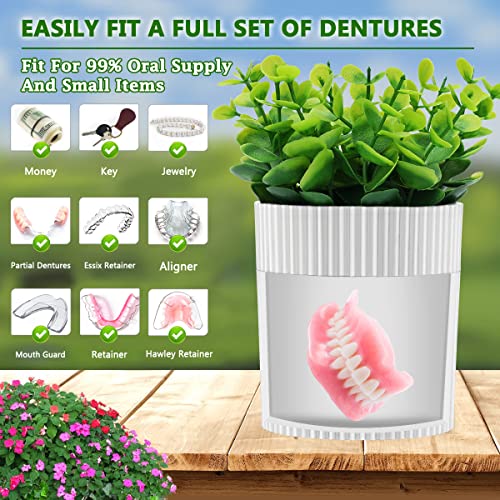 Denture Bath, Invisible Denture Case Designed As Artificial Eucalyptus Potted Plants, Denture Cup With Strainer For Retainer, Mouth Guard & Dentures, Perfect For Home Decorationā¦