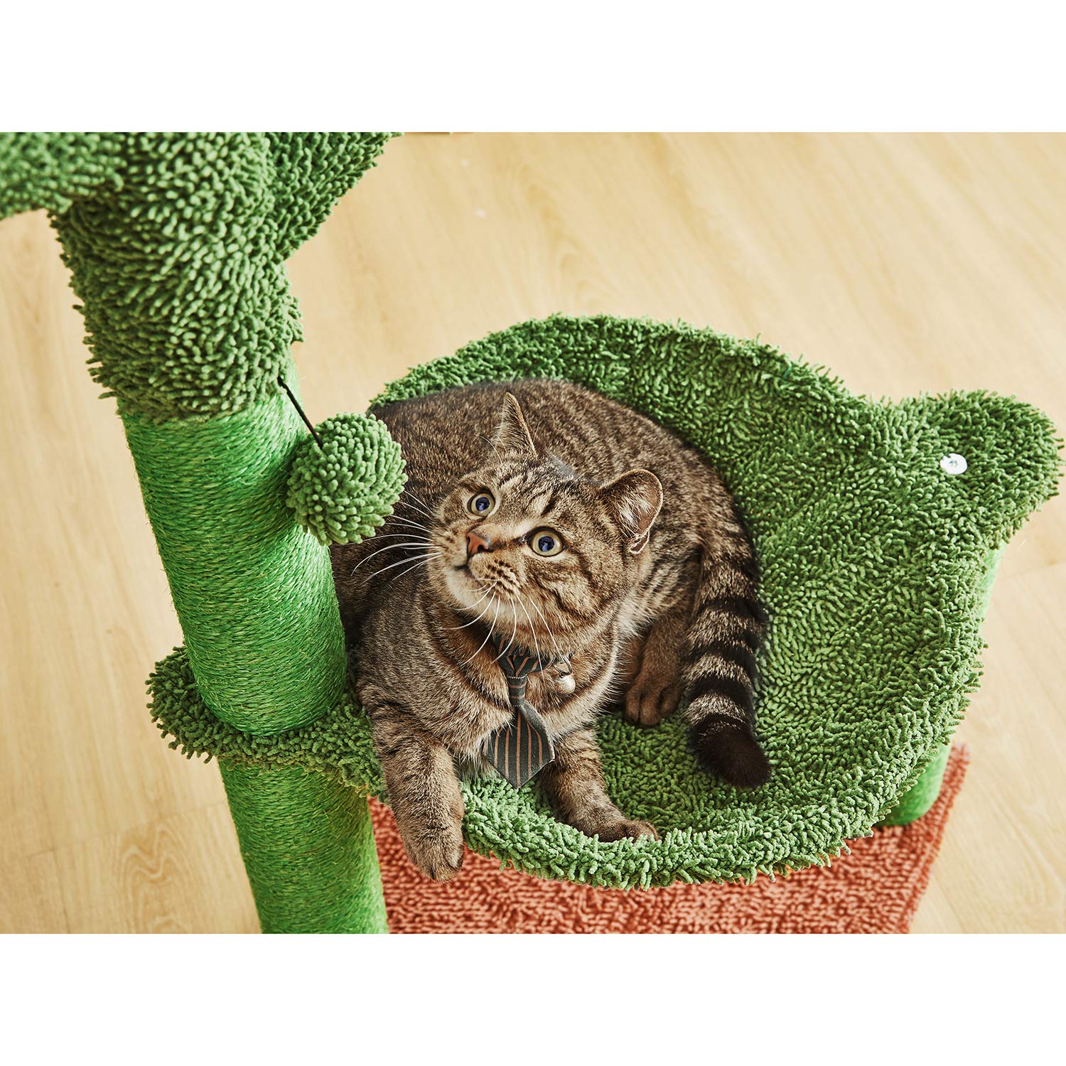 Catreaier Cat Tree Cat Scratching Post for Indoor Cats with Hammock Medium Brown