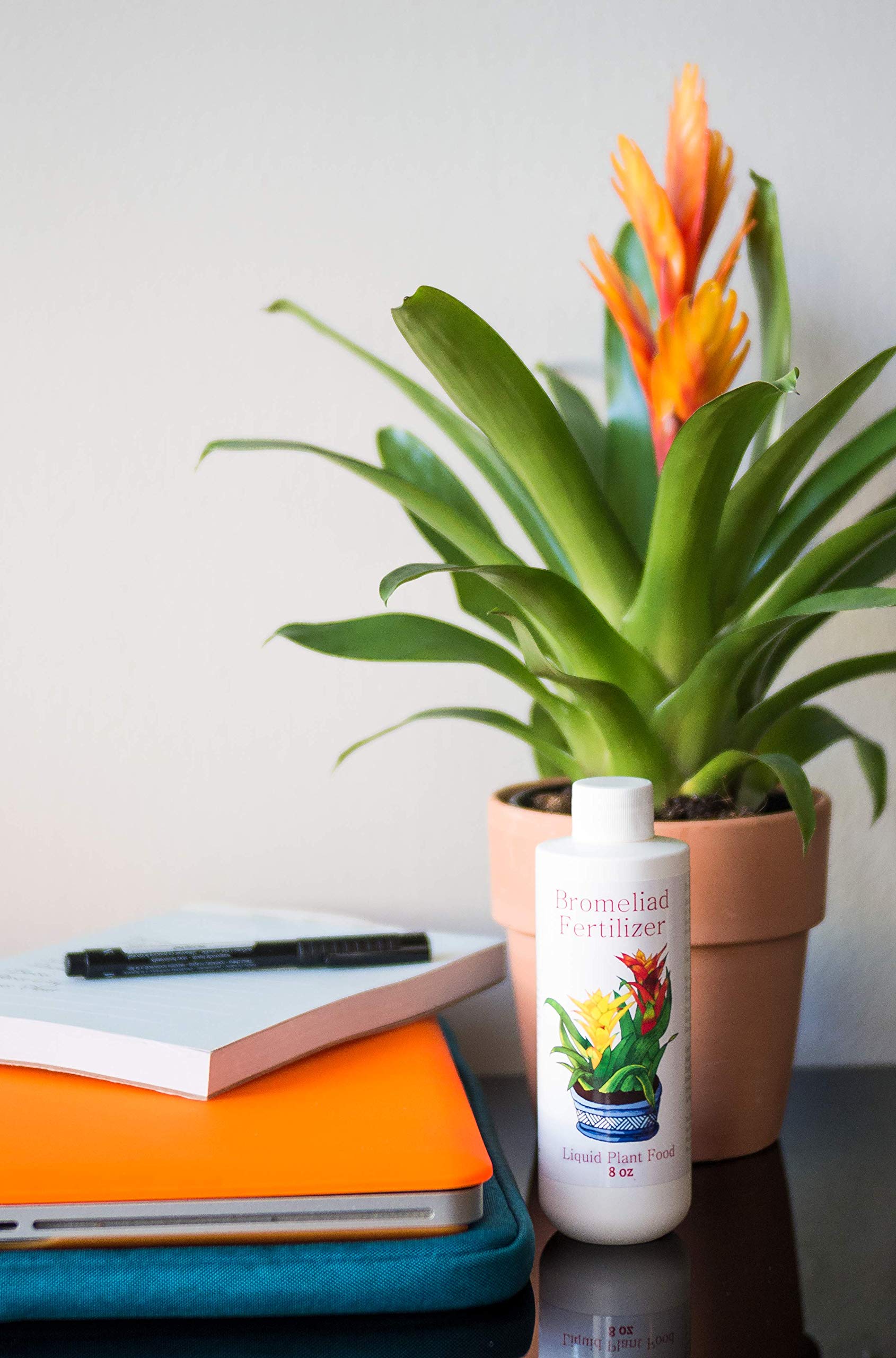 Bromeliad Fertilizer Liquid Plant Food for Bromeliads | Cryptanthus, Guzmania, Neoregelia Aechmea and Tillandsia Air, Aquatic Arts