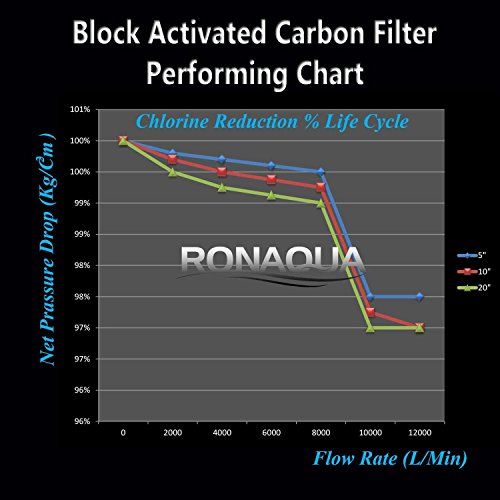 Big CTO Carbon Block Water Filters 4.5" x 10" Whole House Cartridges WELL-MATCHED with CBC Series, WFHDC8001, EP and EPM Series (2 Pack)