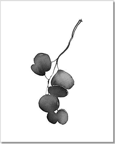 Black And White Wall Art - Eucalyptus Leaves - Botanical Art Prints - Minimalist Pictures - Set of 3-8x10 - Unframed