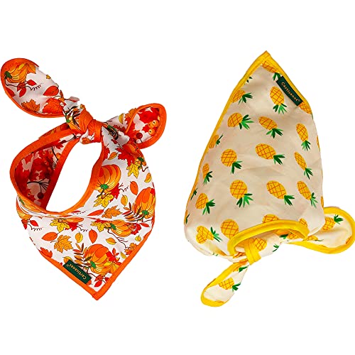 Cartisanat Dog Bandanas, 2 Pack Fruit & Pumpkin Set Triangle Reversible Pet Scarf Adjustable Fit Triangle Bibs Accessories, Multiple Sizes Offered for Small Medium & Large Dogs.