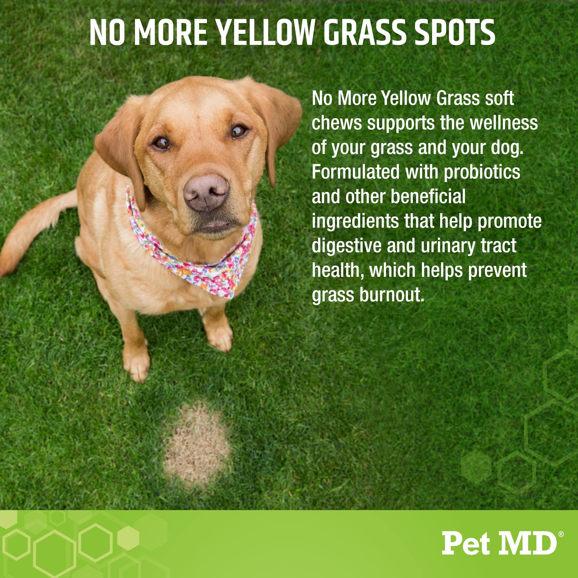 Pet MD Lawn Aid Chews - No More Yellow Spots Dog Urine Neutralizer for Lawn - pH-Balancing Helps Prevent Dog Pee from Killing Grass - Enhanced with Digestive Probiotics for Dogs & Puppies - 120 ct