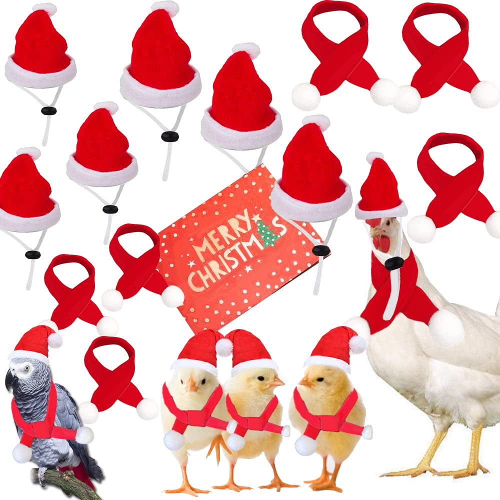 Christmas Pet Chicken Hat Scarf Set for Hens, 12 Pieces Santa Hat Cloak with Adjustable Chin Strap Cute Decorative for Duck Hens Rabbit Kitten