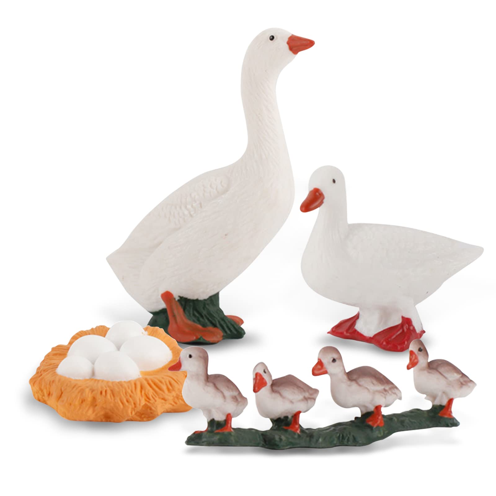 Life Cycle of Duck Figurines Animals Figurines Set Duck Toys Realistic Farm Animals Preschool Animals Figures Eduactional Project Diorama Model Toy for Kids