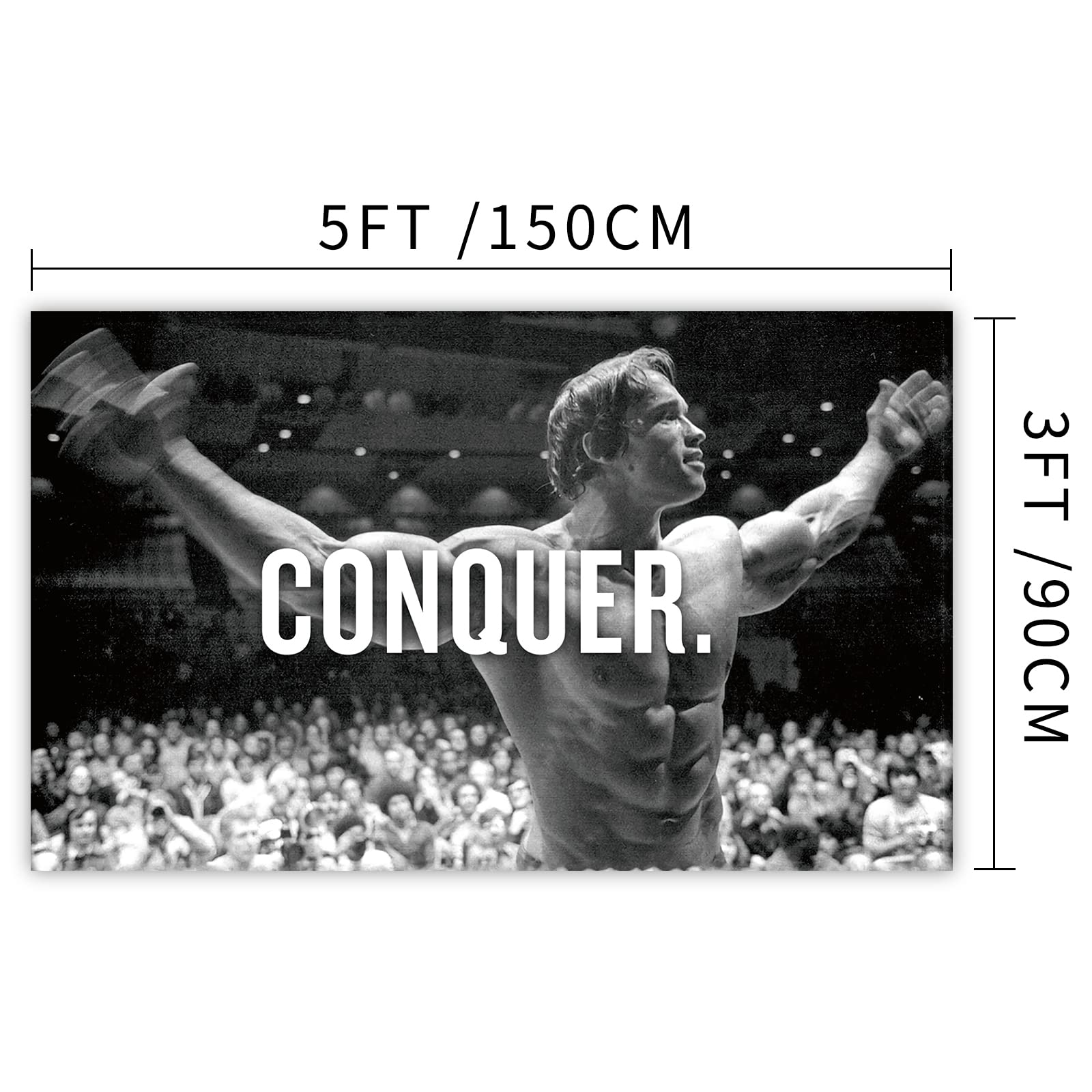 Arnold Schwarzenegger Conquer Motivational Inspirational Office Gym Wall Decor Flag Banner,3x5 Feet Flag Funny Poster Durable Man Cave Wall Flag with Brass Grommets This beautiful entertaining banner