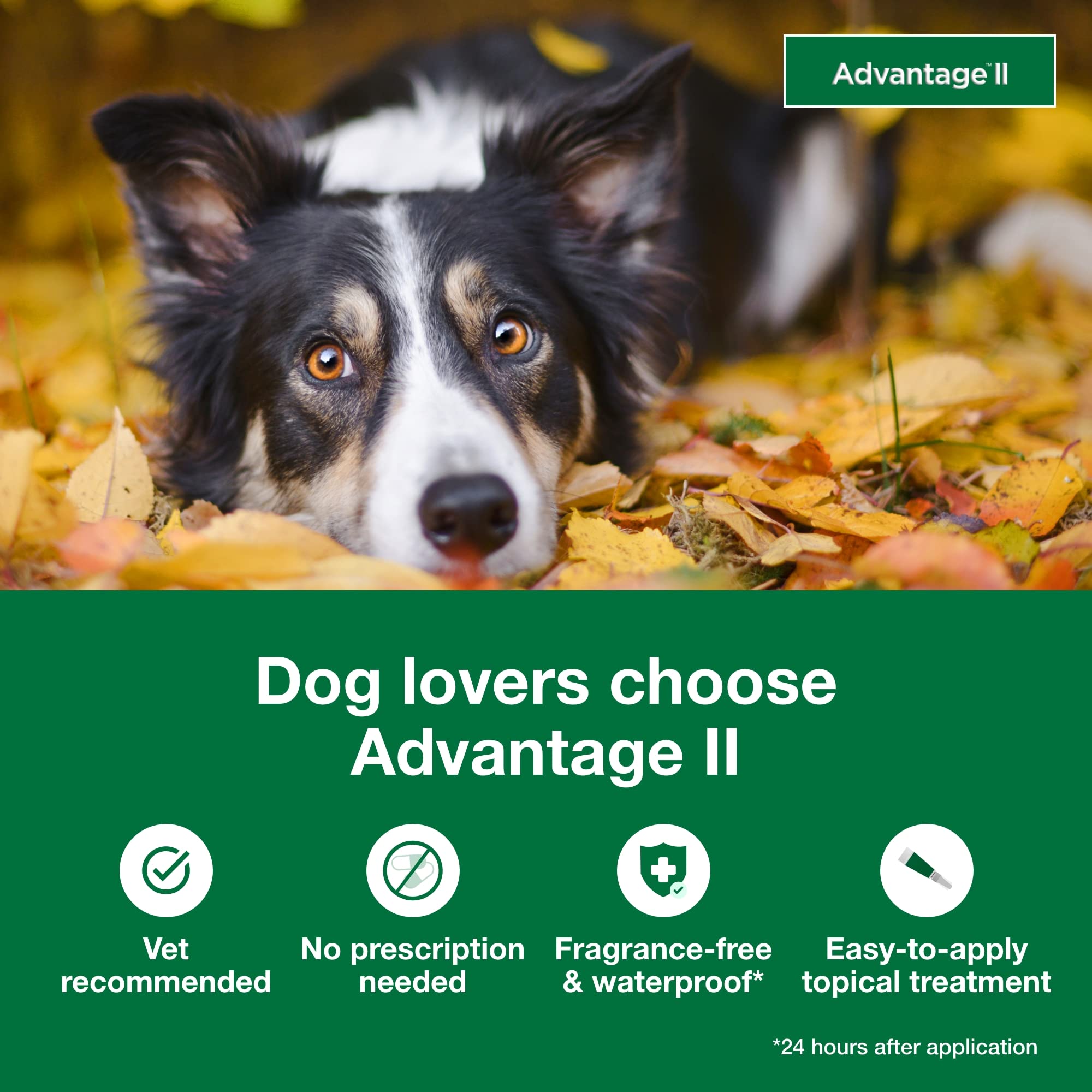 Bundle of Advantage II Large Dog| Dogs 21-55 lbs. | 4-Month Supply + Pet Protect Probiotic Balance+ Dog Supplement | Oral Gel | 32g