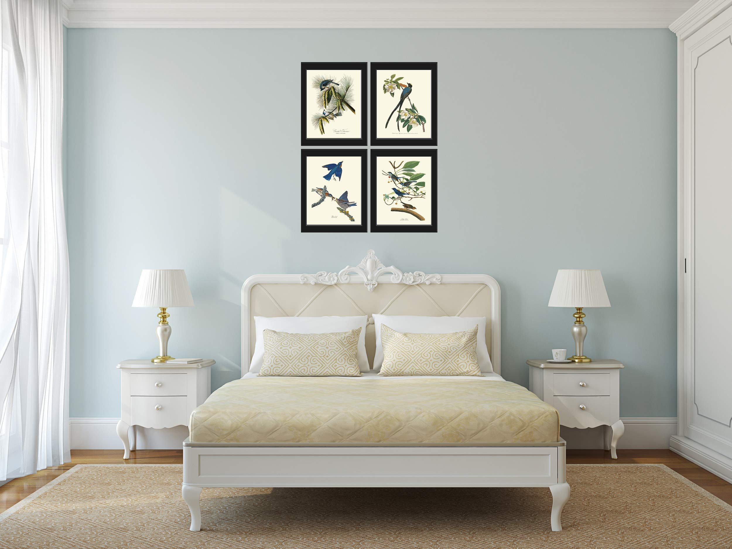 Bird Print Wall Art Set of 4 Prints Beautiful James Audubon Titmouth Fork-tailed Flycatcher Blue Bird Bluebirds Indigo Bird on Pine Tree Blooming Magnolia Flower Home Room Decor Unframed