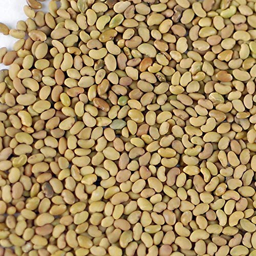 Certified Organic Alfalfa Sprouting Seed- 8 Oz - Handy Pantry Brand - High Sprout Germination- Edible Seeds, Gardening, Hydroponics, Growing Salad Sprouts, Planting, Food Storage & More