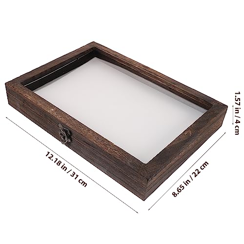 Cabilock Insect Display Case Wooden Bug Collection Box with Clear EVA Top Insect Shadow Box Insect Specimen Storage Box for Home