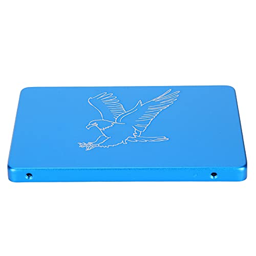 Garsentx Hsthe Sea SSD Automatic Recognition Intelligent Error Correction Blue Metal 2.5‑inch Hard Drive for Storing Data for OS X/Linux/Windows XP/Win/7/8/10 (8GB)