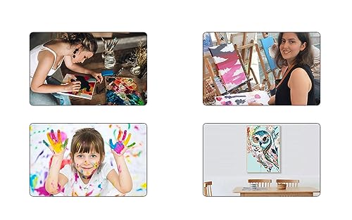 DIY Paint by Numbers for Kids & Adults & Beginne,DIY Canvas Painting Gift Kits for Home Decoration,Rainbow Owl Home Wall Decor 16x20''(Without Framed)