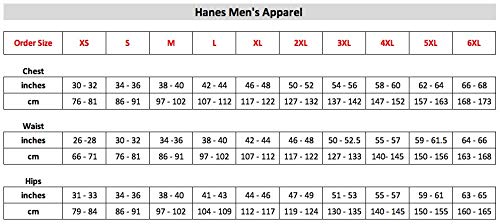 Champion Men's Hoodie, Powerblend, Fleece Striped Sweatshirt for Men (Reg. or Big & Tall)