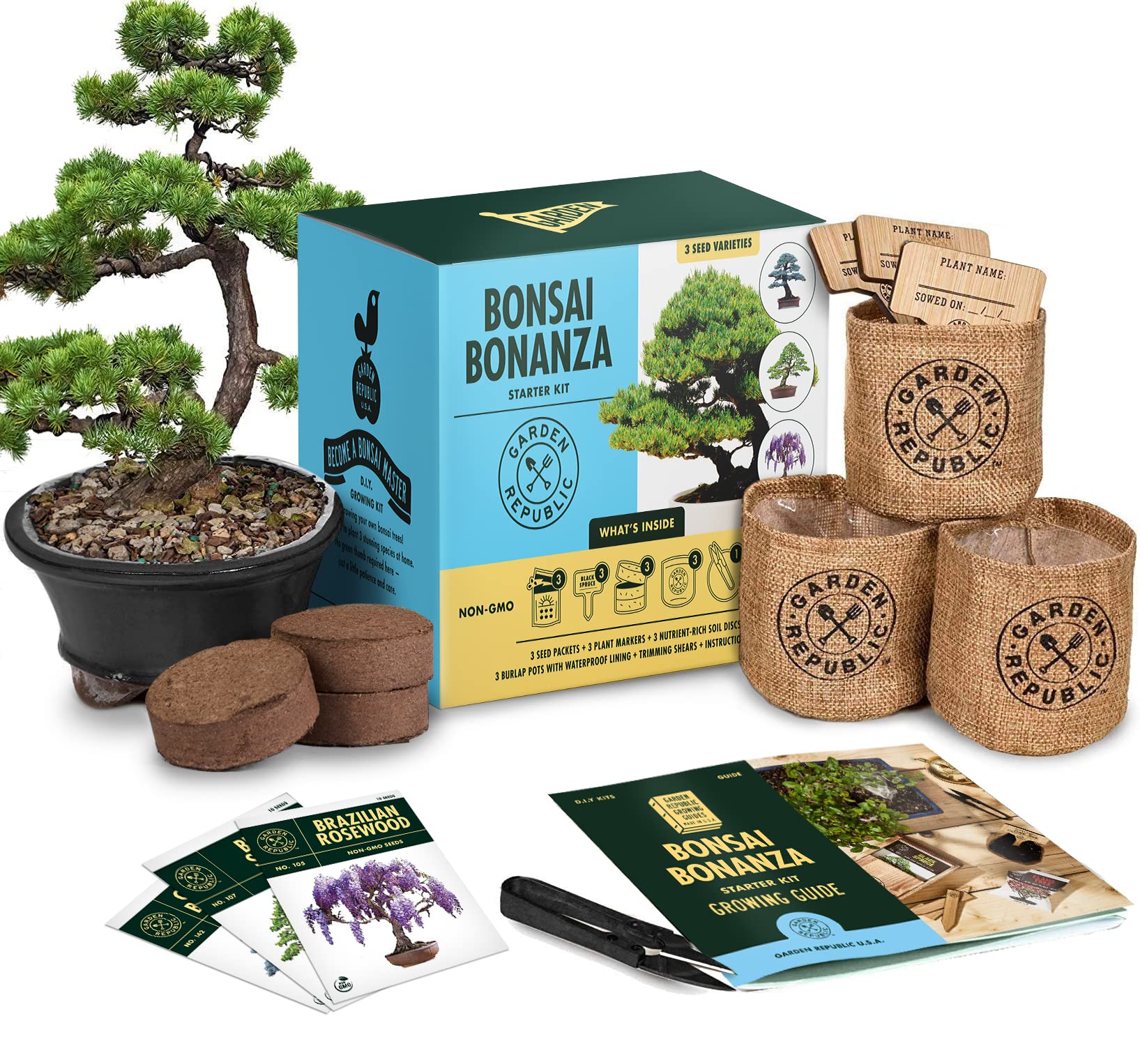 Bonsai Tree Seed Starter Kit - Mini Bonsai Plant Growing Kit, 3 Types of Seeds, Potting Soil, Pots, Pruning Shears Scissor Tool, Plant Markers, Wood Gift Box, Fathers Day Gardening Gifts Ideas