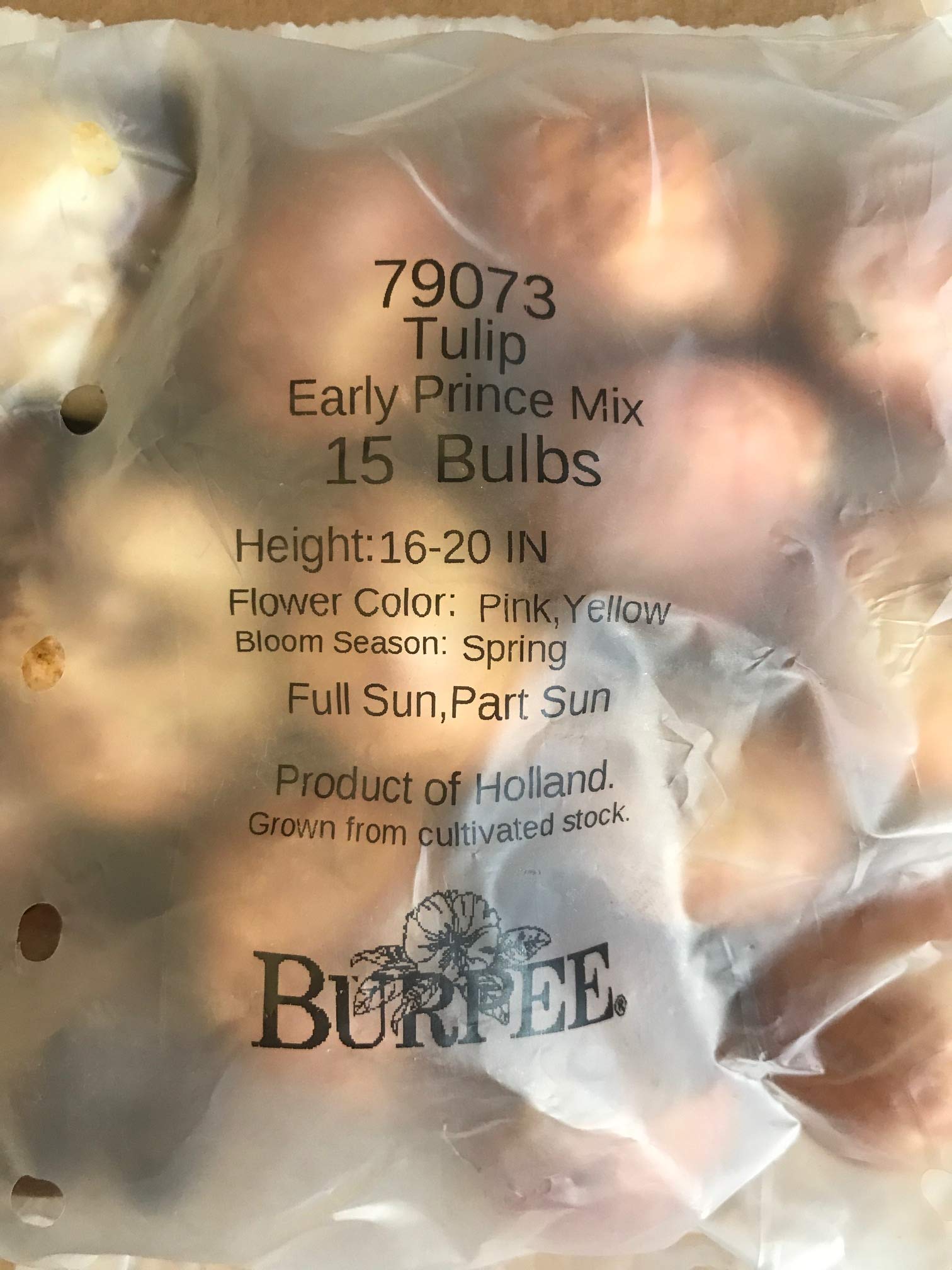 Burpee Perennial Tulip Mix | 20 Large Flowering Fall Bulbs for Planting, Multiple Colors
