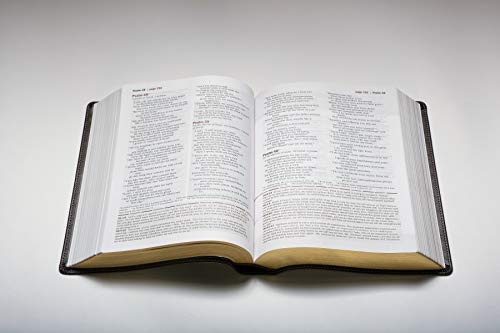 Every Man's Bible: New Living Translation, Deluxe Explorer Edition (LeatherLike, Brown) β Study Bible for Men with Study Notes, Book Introductions, and 44 Charts