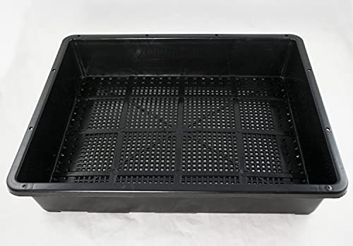 Calibonsai 2 x Black Plastic Tray for Propagation, Bonsai Forest/Group Planting 15"x 12"x 3"