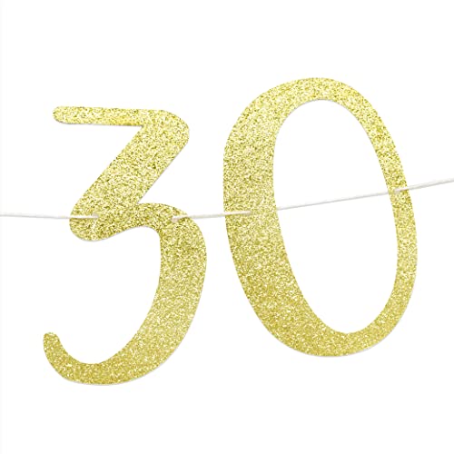 Cheers to 30 Years Banner - Happy 30th Birthday Banner,30th Birthday Banner,30th Birthday Banner for Women/men,30 Birthday Party Decorations Banner,Happy 30th Birthday Banner Party Decorations