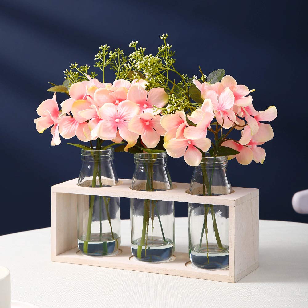 hehimhis Desktop Glass Planter Vase with Wooden Stand for Hydroponics Plants Decor for Home Office Garden Wedding, Pink