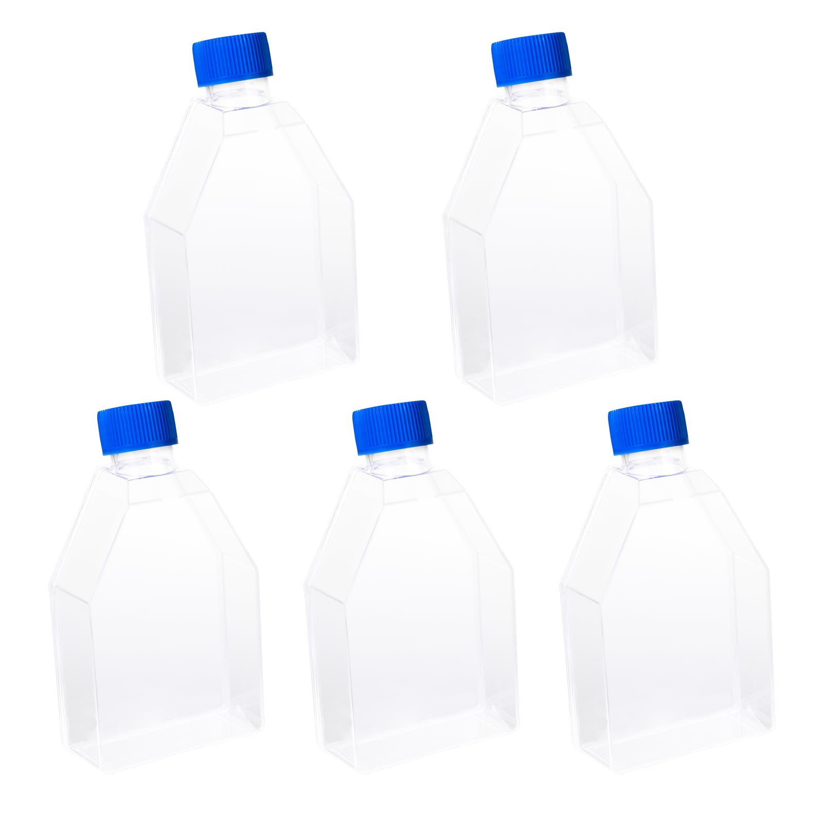 CryoKing Cell Culture Flasks, Sterile Plastic Tissue Culture Bottle with Filter Cap, 75cm² Culture Area, TC Treated, 25ml Working Volume, Pack of 5