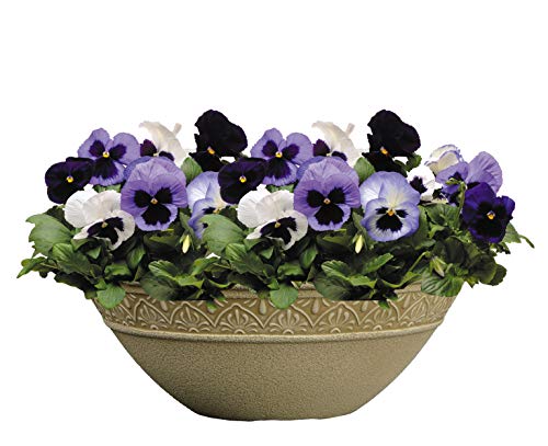 Classic Home and Garden Moroccan Bowl planters, 10", Desert