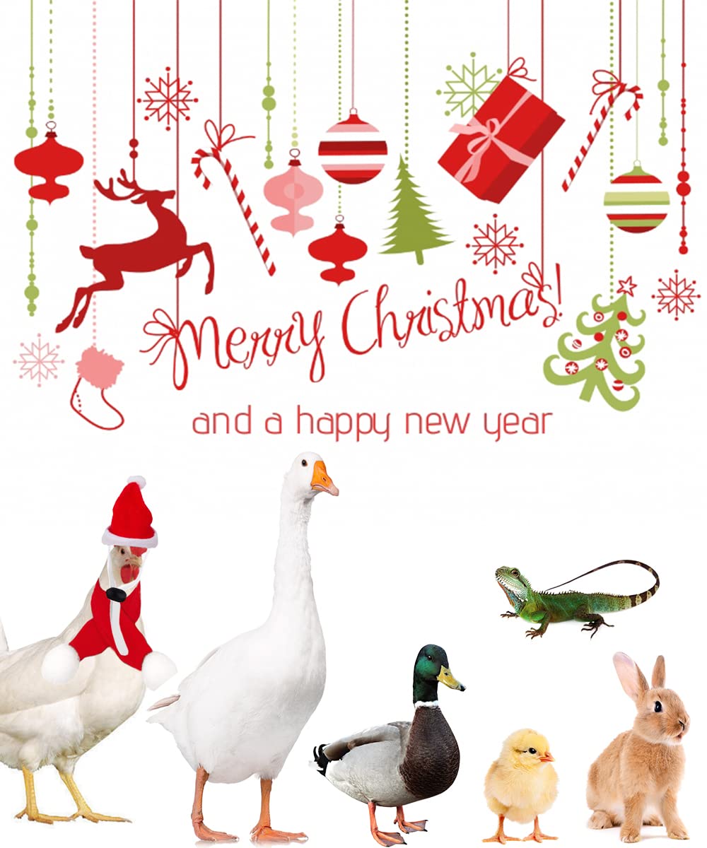 Christmas Pet Chicken Hat Scarf Set for Hens, 12 Pieces Santa Hat Cloak with Adjustable Chin Strap Cute Decorative for Duck Hens Rabbit Kitten