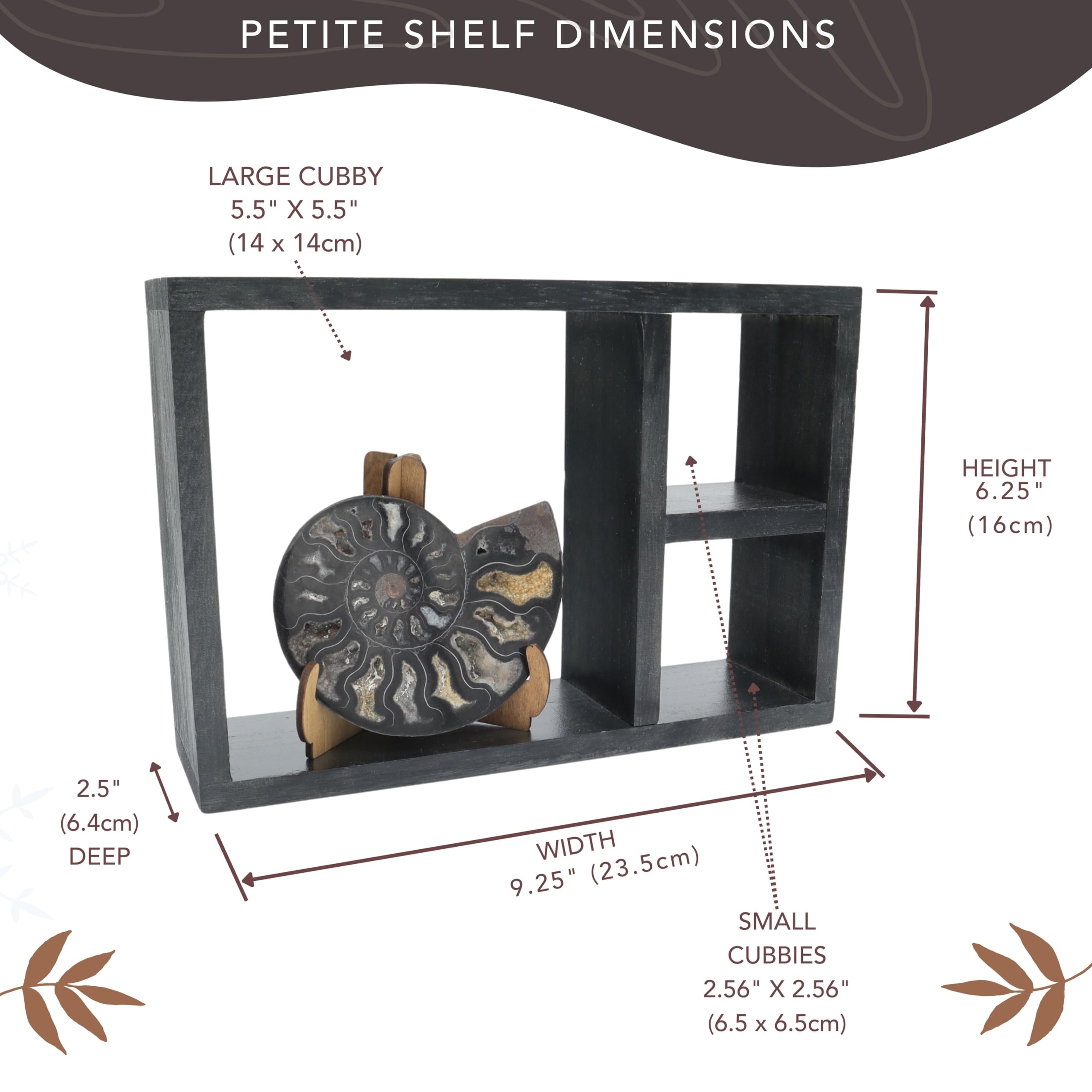 Petite Crystal Display Shelf with Black Ammonite, Rustic Wall-Mounted Floating Shelf for Crystal and Home Décor. Great Nightstand/Apothecary Shelf for Fossils, Reiki Crystals