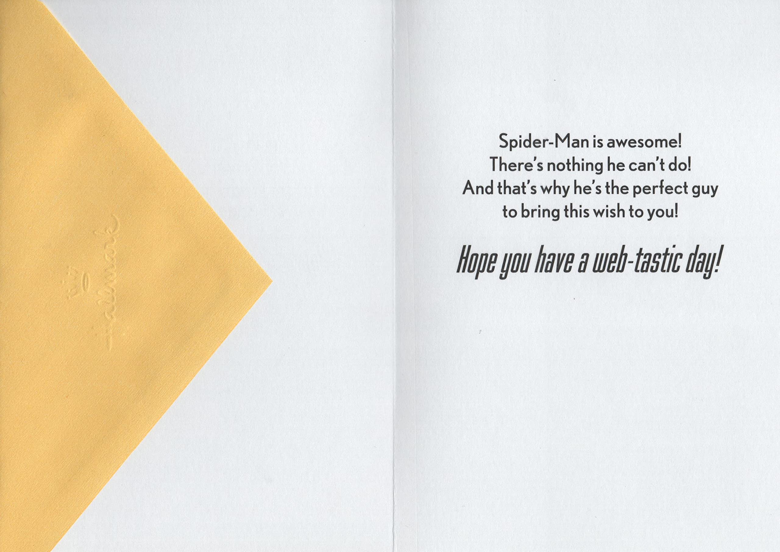 Heartline by Hallmark Spider-man Greeting Card (Spiderman)Happy Birthday Card