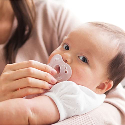 Evenflo Feeding Balance+ Angled Bottle 9 Oz 2-Pack with Pacifier