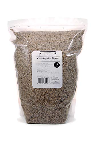 Creeping Red Fescue Seed by Eretz (3lb) - CHOOSE SIZE! Willamette Valley Oregon Grown, No Fillers, No Weed or Other Crop Seeds, Premium Shade Grass Seed.