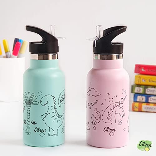 Citron - Stainless Steel Water Bottles, Insulated Metal Water Bottle- 12oz Thermal Water Bottle (Dino)
