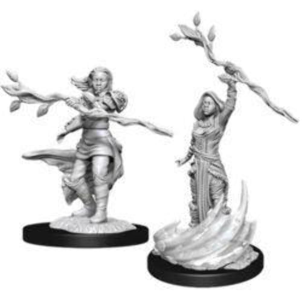 D&D Nolzurs Marvelous Unpainted Miniatures: Wave 8: Human Male Cleric