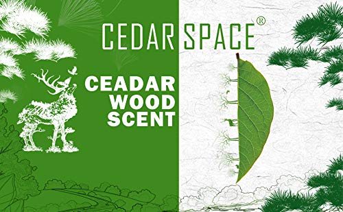Cedar Space Cedar Blocks for Clothes Storage Set of 24, Cedar Sachets 12-Pcs Lavender Sachets 12-Pcs, 100% Aromatic Red Cedar Accessories for Wardrobes Closets and Drawers